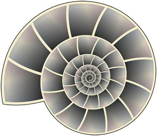 How To Draw A Perfect Spiral In Illustrator Video Tutorial PhotoshopSupport